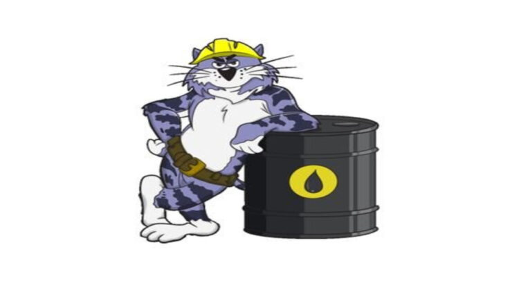 Wildcat Petroleum (LON:WCAT) Wildcat receives approval from the South ...