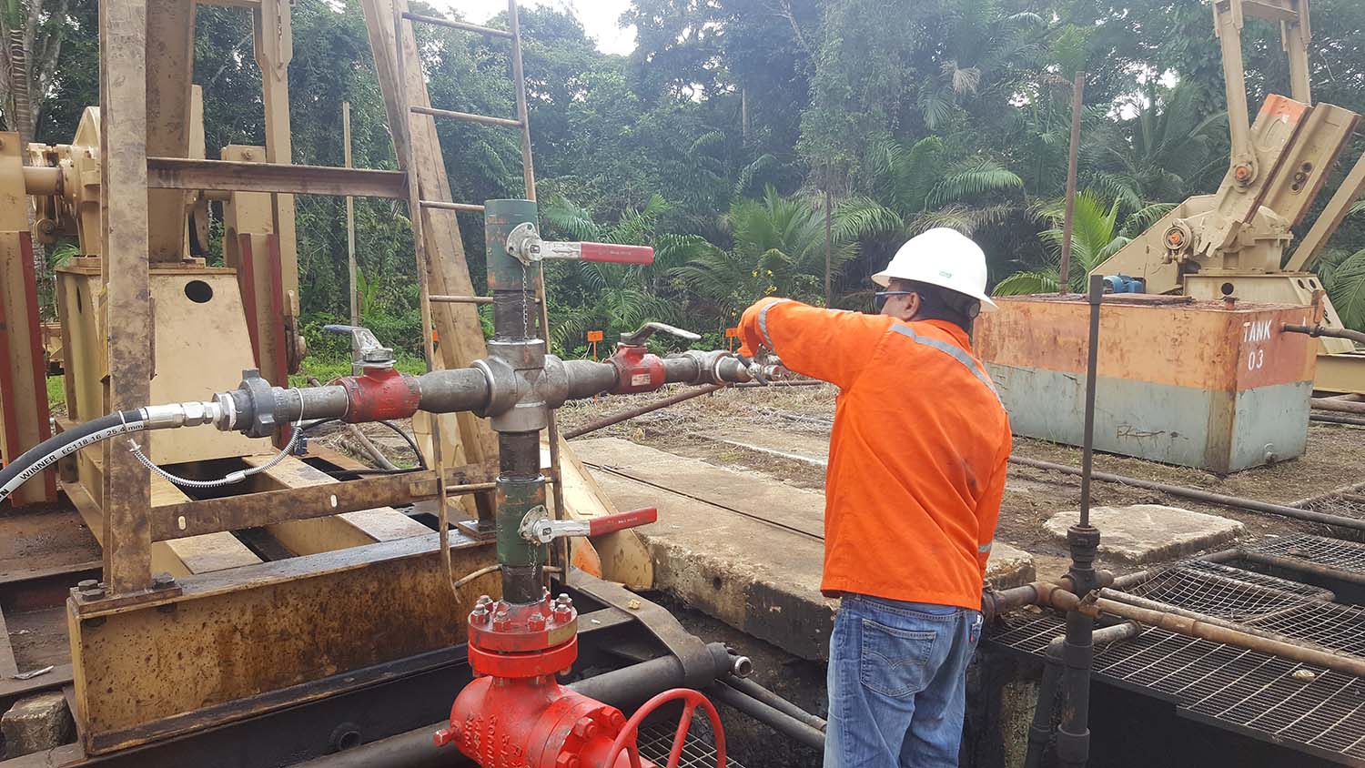 Predator O&G Hldgs (LON:PRD) Financial Statements Year Ended 31 ...